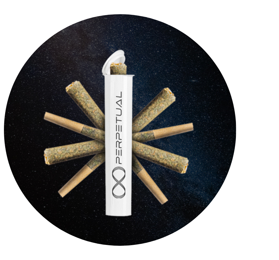 Home - PERPETUAL Dispensaries - Fresh ∞ Potent ∞ Affordable